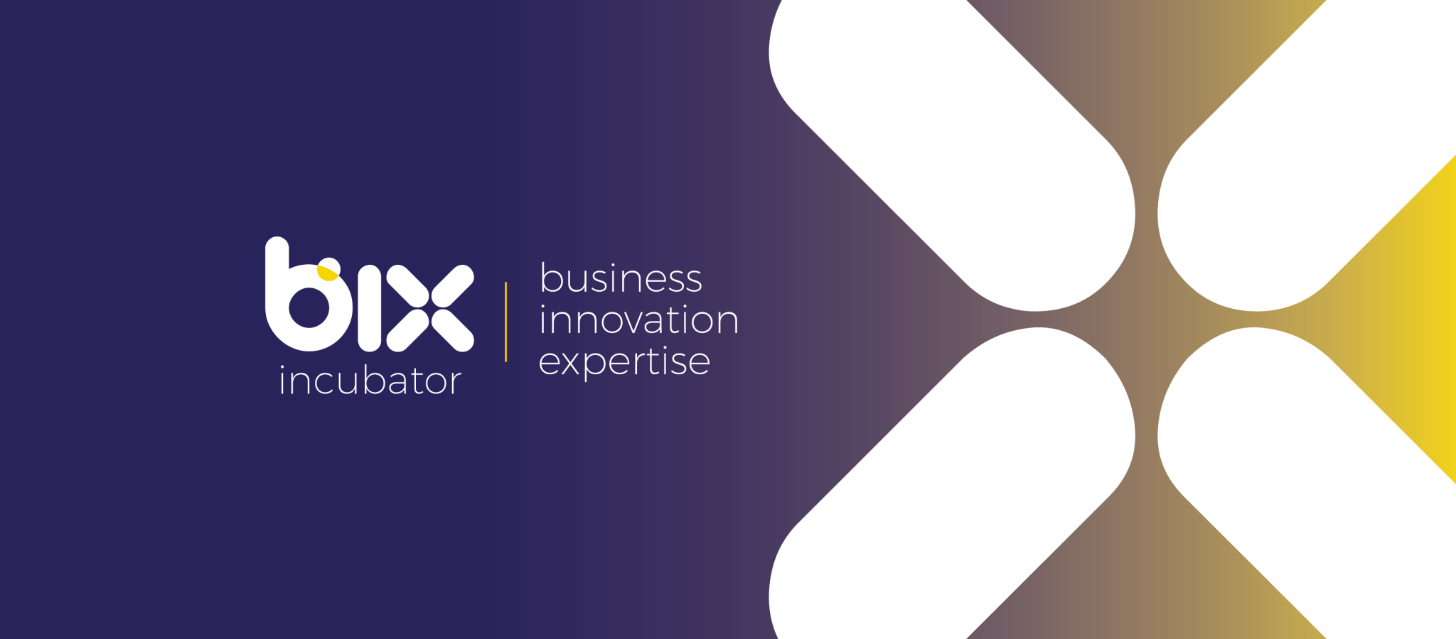 Nasce “BiX Incubator SpA”, una nuova realtà produttiva ad Eboli ...